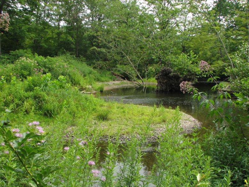 Walpack Area - Sussex County | New Jersey Butterfly Sites | New Jersey ...